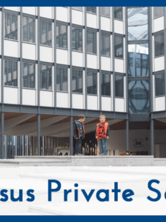 Public Versus Private School for Your Kids Story - Physician on FIRE